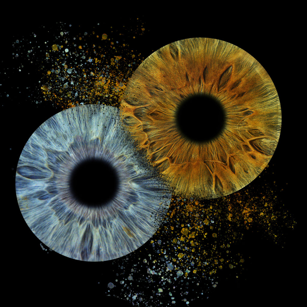 You&Eye - Photographie de l'iris