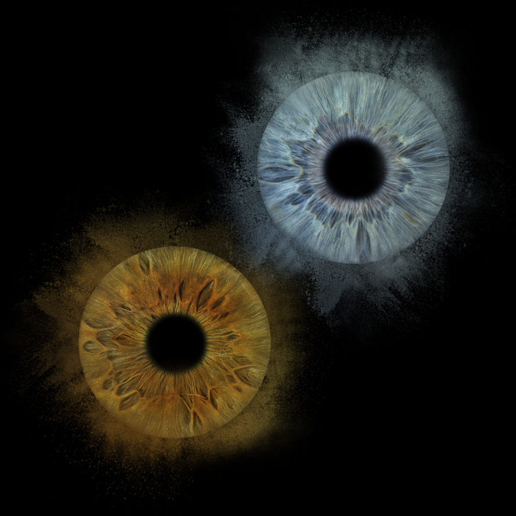 You&Eye - Photographie de l'iris
