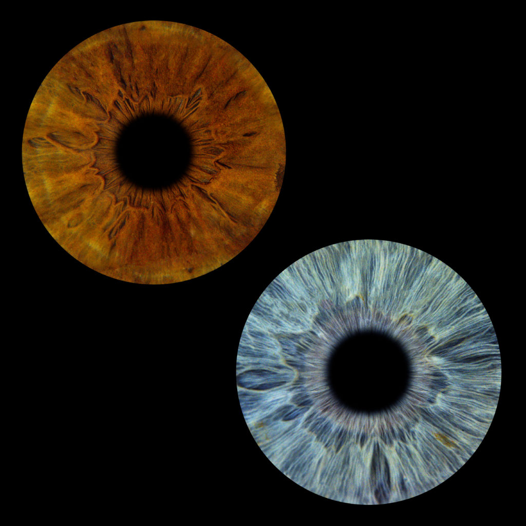 You&Eye - Photographie de l'iris