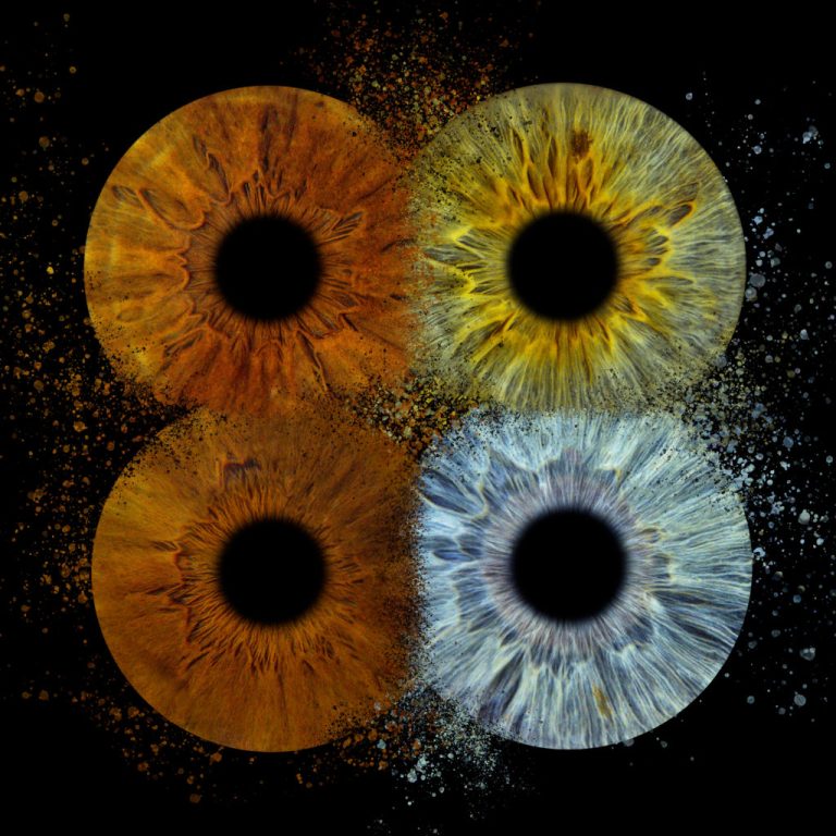 You&Eye - Photographie de l'iris