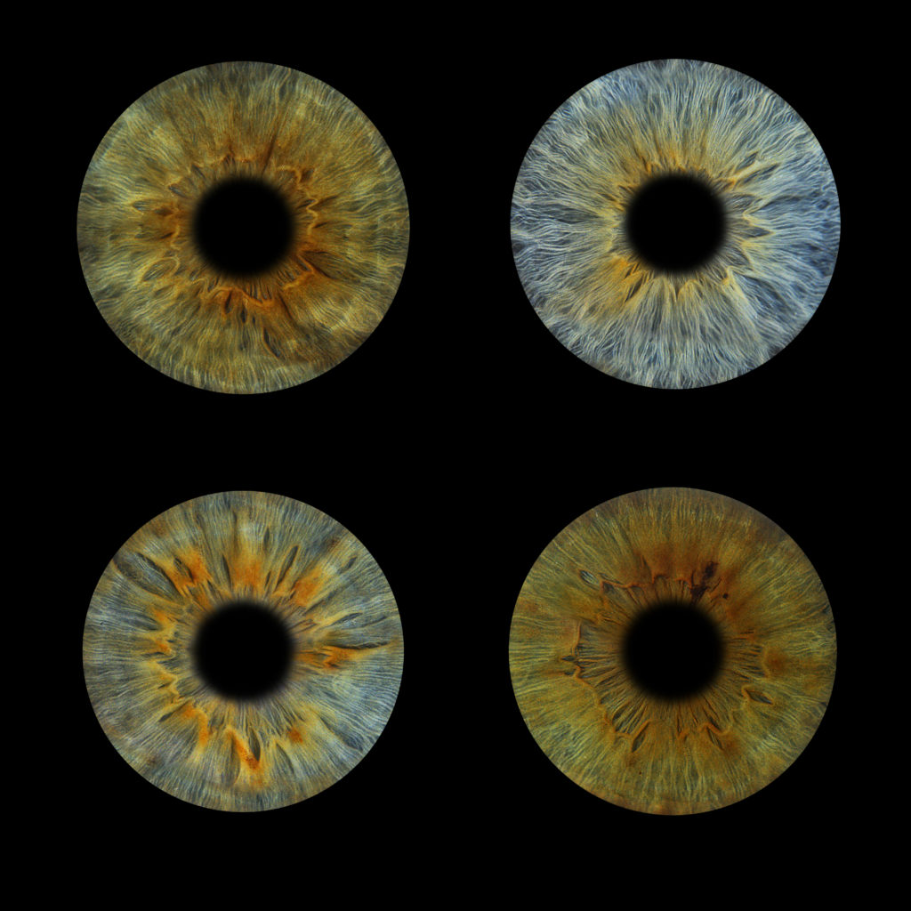You&Eye - Photographie de l'iris
