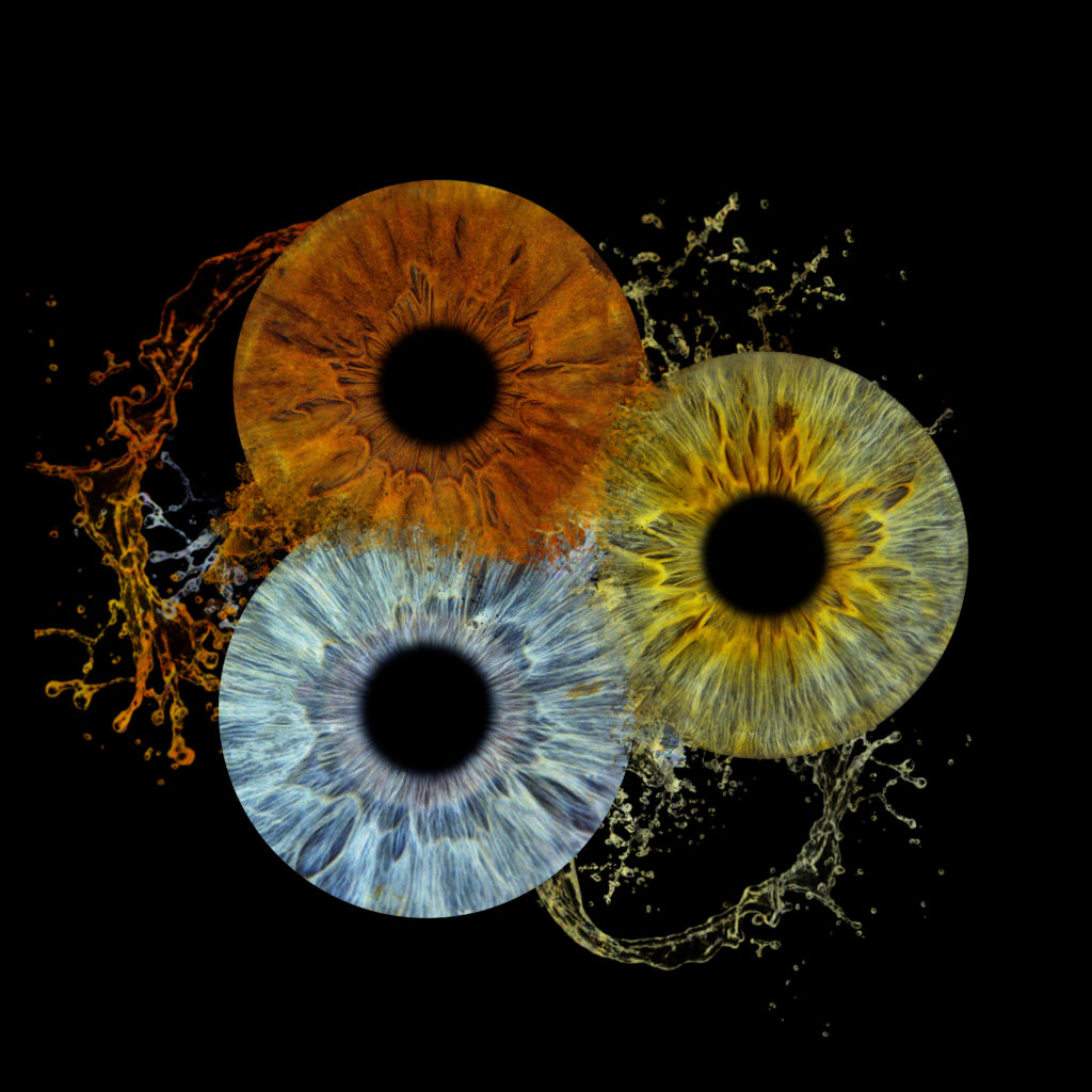 You&Eye - Photographie de l'iris